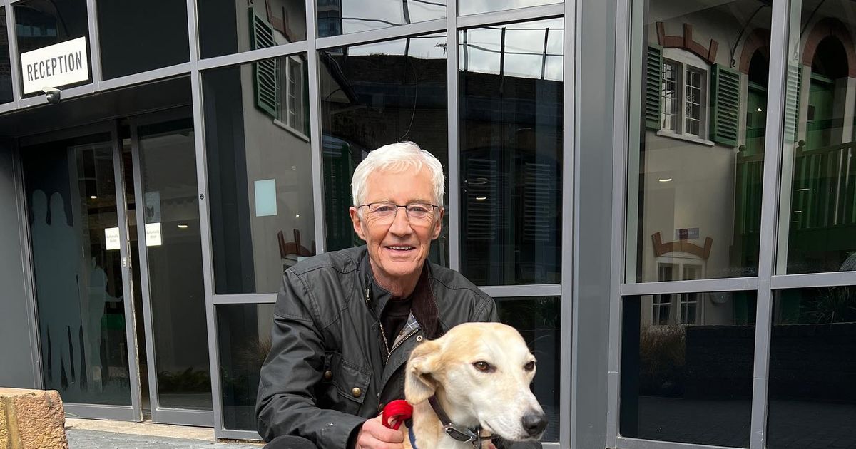 New Deputy Lieutenants of Kent appointed – with familiar face amongst ...