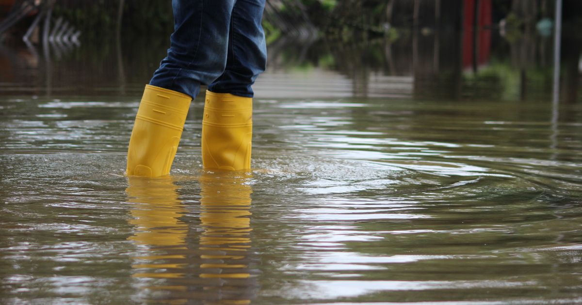 Share your views on plans to manage the risk of flooding in Kent - News ...