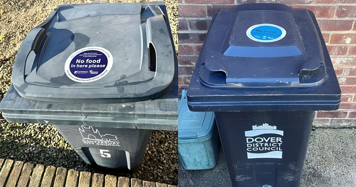 Food recycling success in Folkestone and Hythe and Dover - News ...