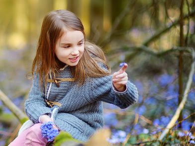 Kent Country Parks - Kent County Council