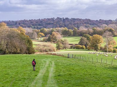 Home - Kent County Council