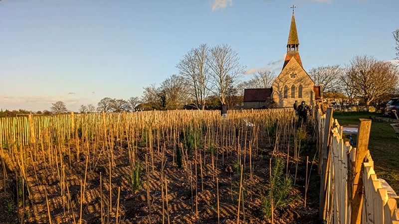 Kent & Medway Local Nature Recovery Strategy launched - News & Features ...