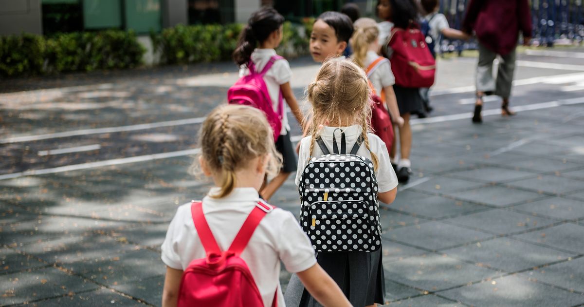 Your child’s next step: EHCP school placement information - News ...