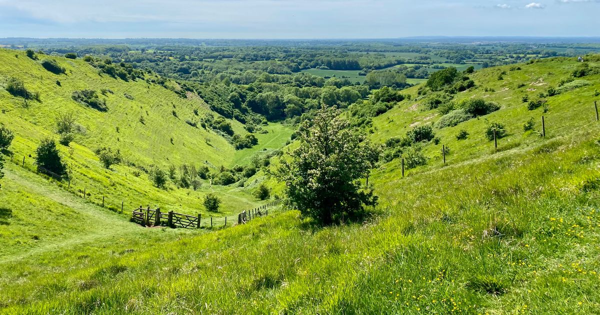 Making Space for Nature in Kent and Medway - News & Features - Kent ...