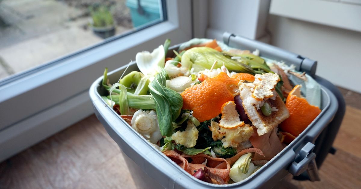 Kent’s food waste recycling soars saving £75k in a single month - News ...